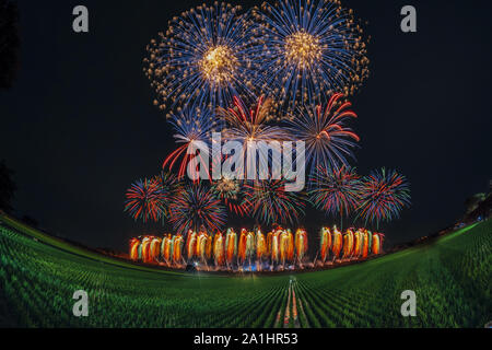 Beautiful firework at the night upon the rice paddy field Stock Photo ...