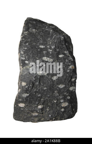 Andesite. Igneous rock sample Stock Photo - Alamy