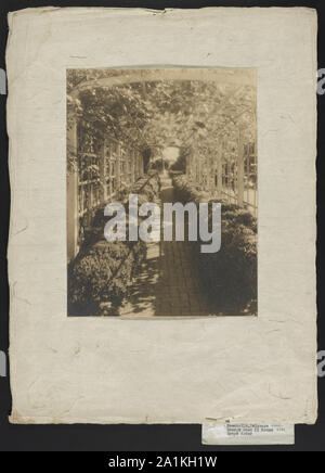 Newcastle [sic], Delaware, George Read II house (about 1790 sic), grape ...