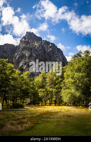 Lovely forest at Covao Ametade, Serra da Estrela. Sparkles of light ...