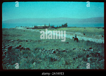 Northern views. Remarkable remains of the synagogue at Capernaum. Large ...