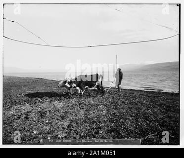 Northern views. Lake Merom and Mt. Hermon LOC matpc.07037 Stock Photo ...