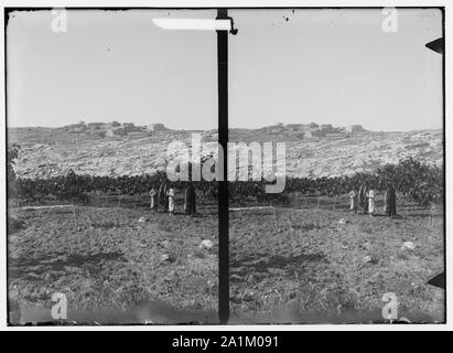 Northern views. Michmash (Mukhmas Stock Photo - Alamy