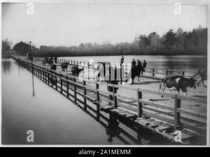 Old Floating Bridge, Lynn, Mass Stock Photo - Alamy