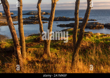 Shoreline, Neck Point Park, Nanaimo, British Columbia, Canada Stock ...