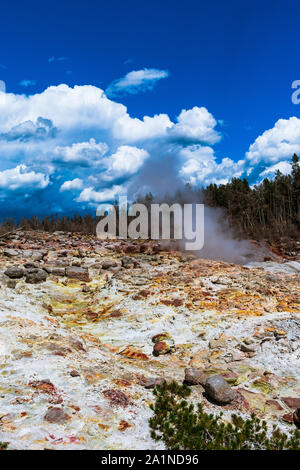 Steamboat geyser, Yellowstone National Park, Wyoming, U.S.A., 1972 ...