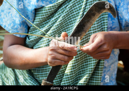Young woman splits strips of bamboo to make baskets. Village Khrang ...