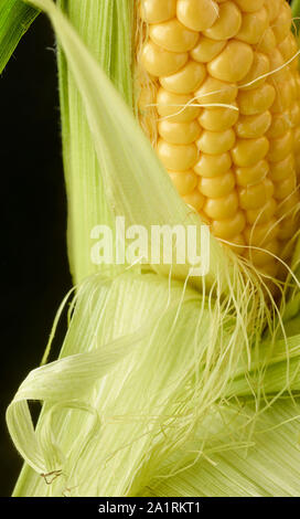 Semi-abstract sweetcorn, Maize, food portrait Stock Photo - Alamy