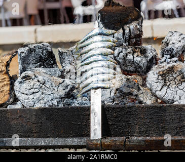 Malaga style of preparation of fresh fish, catch of the day, on skewers ...