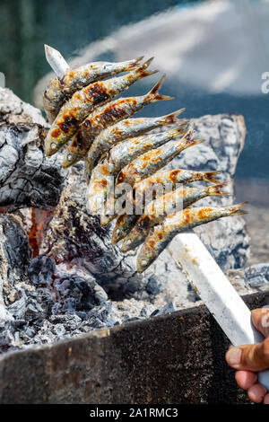 Malaga style of preparation of fresh fish, catch of the day, on skewers ...