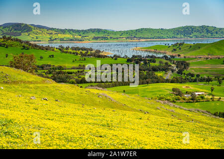Tallangatta lookout in rural Victoria, Australia Stock Photo - Alamy