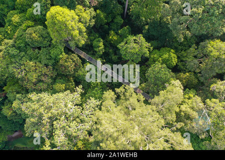 Aerial view of Borneo Rainforest of Rain Forest Stock Photo - Alamy