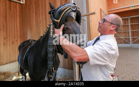 Gomadingen Marbach, Germany. 29th Sep, 2019. Main saddle champion Fred ...