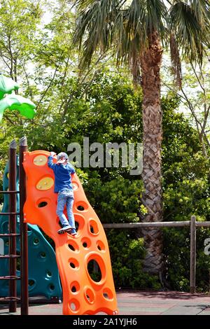 boy climbing orange tree Stock Photo - Alamy