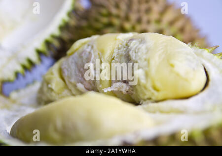 Durian skin / Close up of tropical fruit durian texture background ...