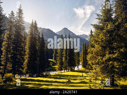 Mountain summer landscape. Snowy mountains and green grass. Peak ...