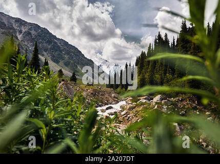View of landscape nature and river and mountain in evening light Stock ...