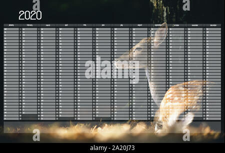 Autumnal Scene: Beautiful Fallow Deer Lying under the Tree in Falling ...