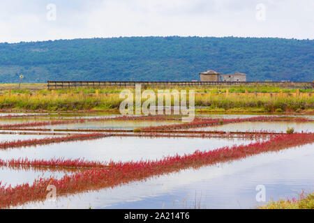 Soline Piran - salt harvesting fields Stock Photo - Alamy
