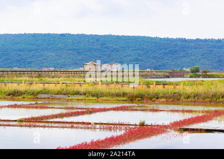 Soline Piran - salt harvesting fields Stock Photo - Alamy
