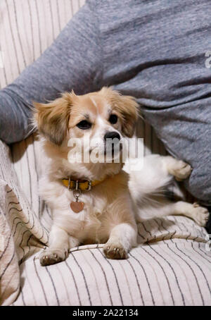 Photo of cheerful sweet cute little latin lady long hairdo hands hold ...