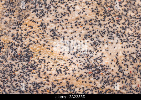 The Vietnamese Sesame Rice Cracker is called Banh Da and is made of ...