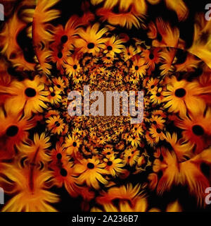 Colorful fractal Daisy design. Abstract Flower spiral. Ddigital artwork ...