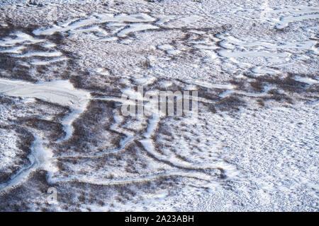 Hudson Bay lowlands at freeze-up from the air. Boreal trees and ponds ...