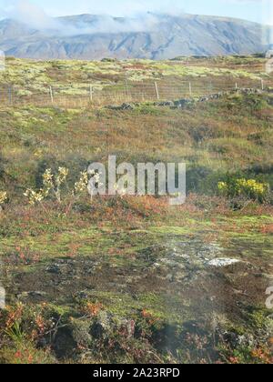 The stunning scenery in Thingvellir National Park on a sunny autumnal ...