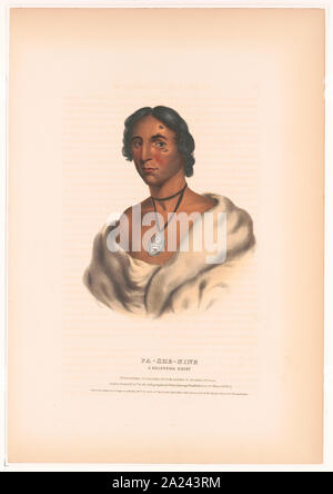 Pa-she-nine, a Chippewa chief, is depicted in this historical image ...