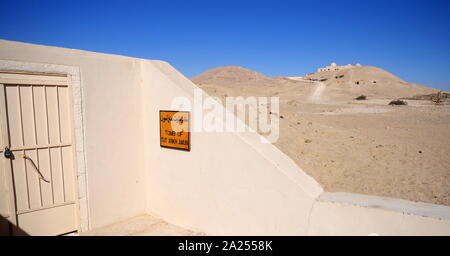 The archaeologist Howard Carter who discovered Tutankhamun's Tomb in ...