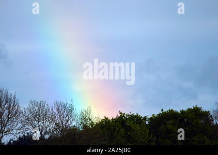 rainbow is a meteorological phenomenon that is caused by reflection ...