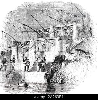 An engraving depicting a shadoof in use in Egypt. The shadoof was used ...