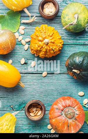 Colorful pumpkins assortment on the autumn season market Stock Photo ...