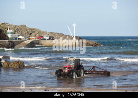 Ocle pickup. Gelidium sesquipedale (Gelidium corneum is currently used ...