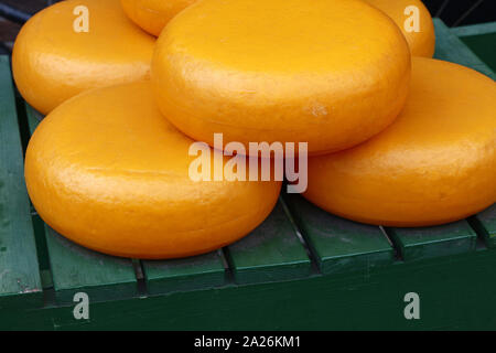 Close up big yellow wheels of hard matured gouda Dutch cheese, high ...
