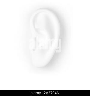 Ear white background Stock Photo - Alamy