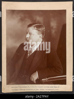 President Theodore Roosevelt, sitting side face Stock Photo - Alamy