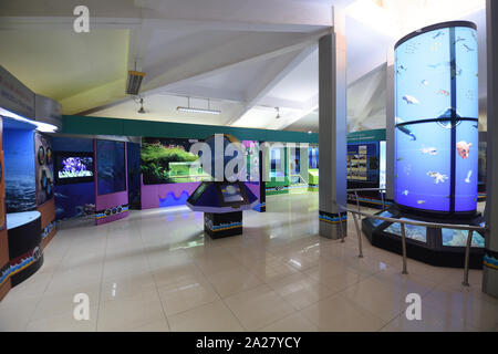 Ocean Gallery. Goa Science Centre & Planetarium, Panjim, Goa, India ...