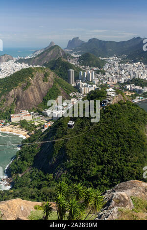 Atlantic Rainforest in Rio de Janeiro State, Brazil, presents a thick ...