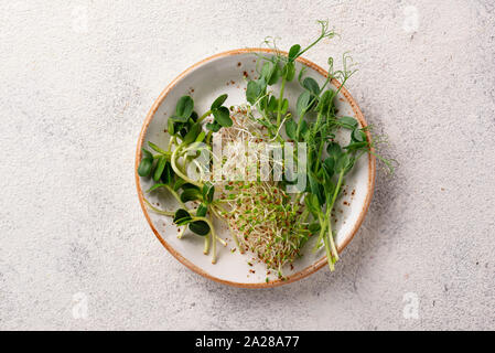 Fresh variety micro greens sprouts Stock Photo - Alamy