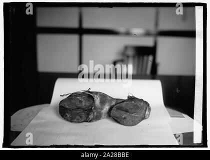 Prohibition Unit (Cow Shoes), 6/28/24 Stock Photo - Alamy