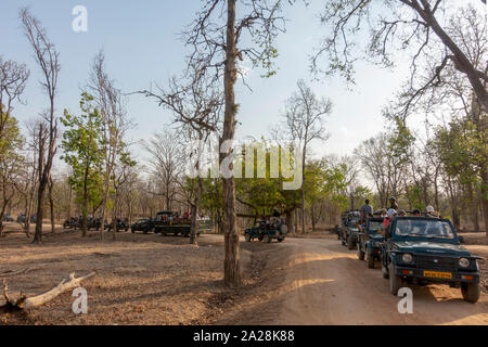 Landscape of Pench national park or Pench tiger reserve in central ...