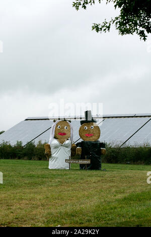 Just married puppets lovely background high quality prints Stock Photo ...