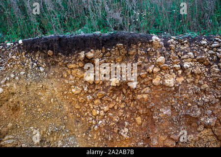 The curb erosion from storms. To indicate the layers of soil and rock ...