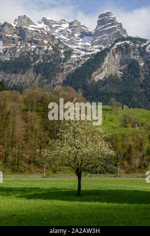 Landscape at the village of Grafenort on the Swiss alps Stock Photo - Alamy