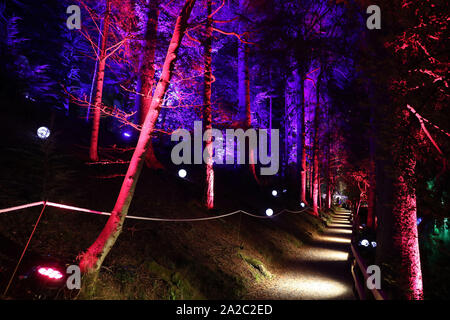 People view The Enchanted Forest sound and light festival in Faskally ...