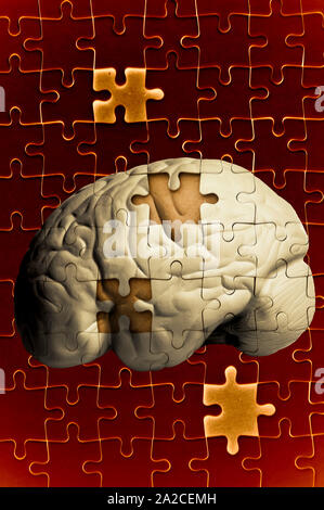 Human Brain Jigsaw Puzzle Pieces Abstract Vector Stock Vector Image ...