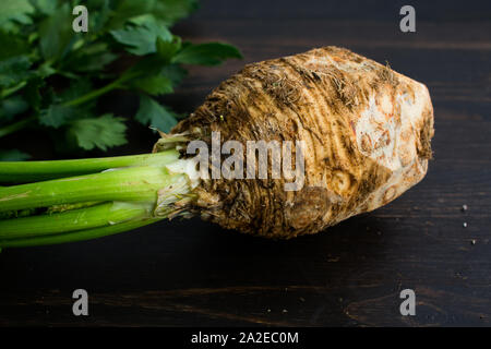 Celeriac, turnip-rooted celery or knob celery (Apium graveolens var ...