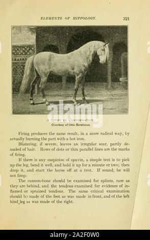 Elements of hippology (Page 4 Stock Photo - Alamy